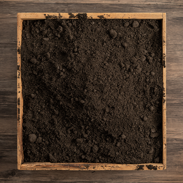 Screened Loam - DELIVERY ONLY | Mahoney's Garden Center