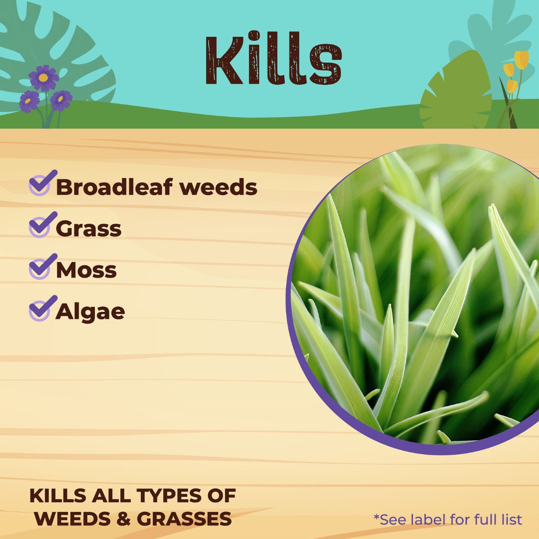 Captain Jack’s Deadweed Brew - Bonide - 32 oz | Mahoney's Garden Center