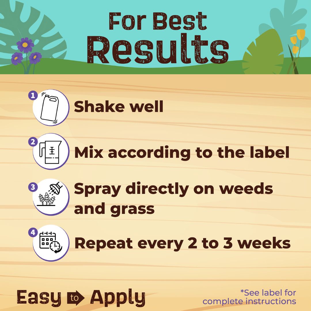 Captain Jack’s Deadweed Brew - Bonide - 32 oz | Mahoney's Garden Center